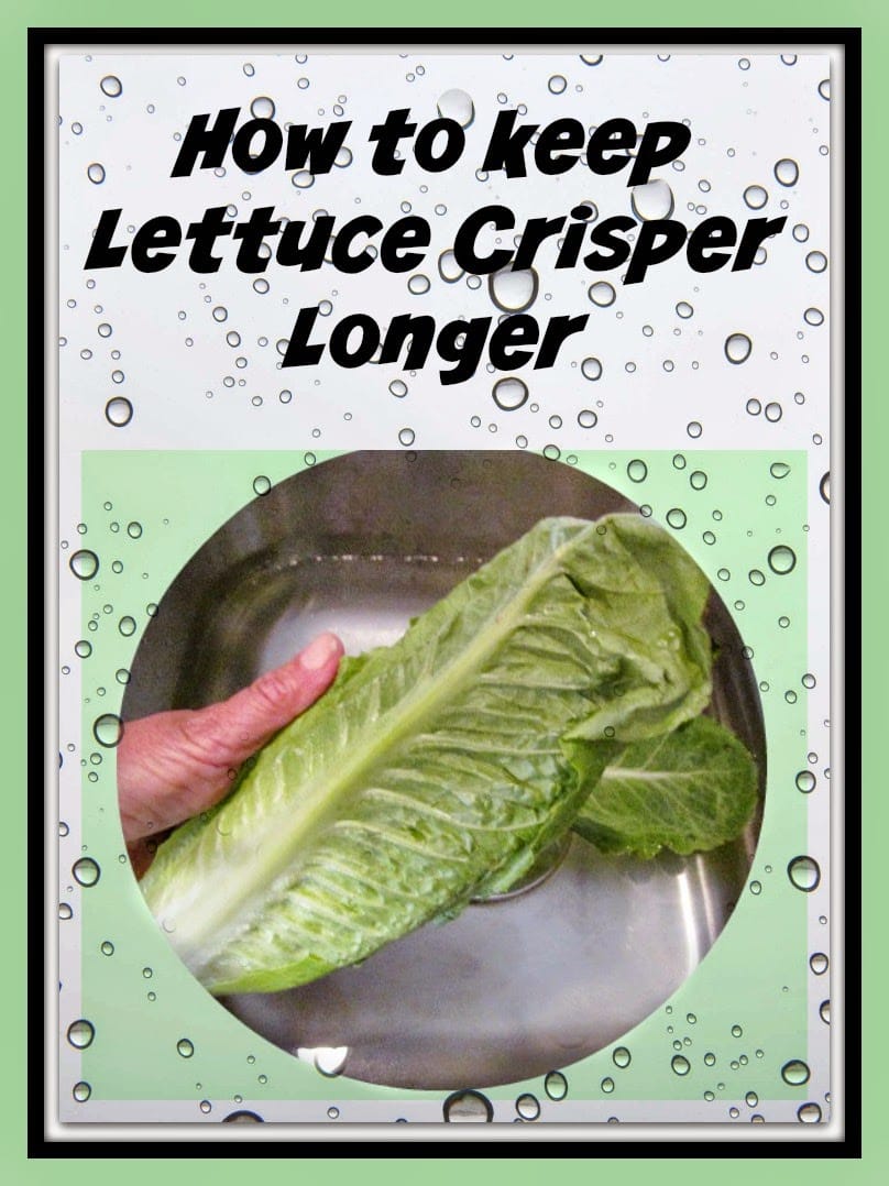 How to Keep Lettuce Crisper Longer - My Turn for Us