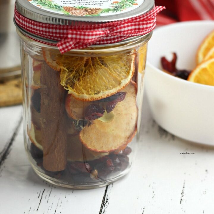 Christmas Simmer Pot Gift Jar - My Turn for Us
