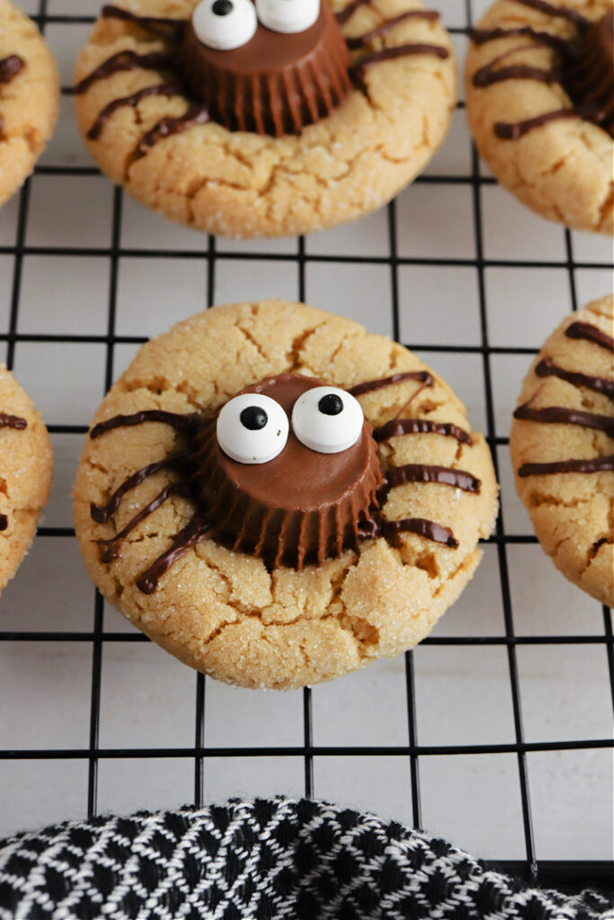 Peanut Butter Spider Cookies - My Turn for Us