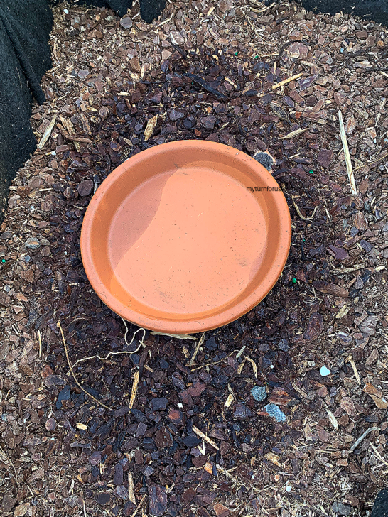 DIY Olla - My Turn for Us