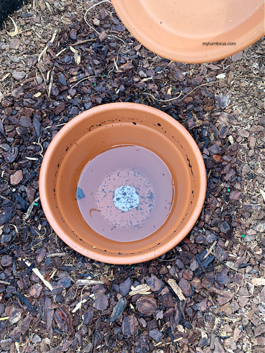 DIY Olla - My Turn for Us